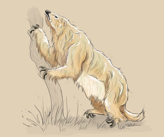 Mr Darwin’s lost sloth | TwilightBeasts