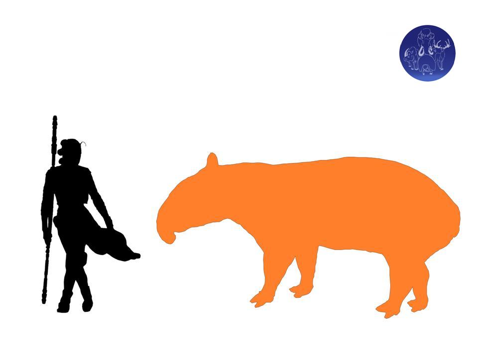 Dreamcatchers | TwilightBeasts