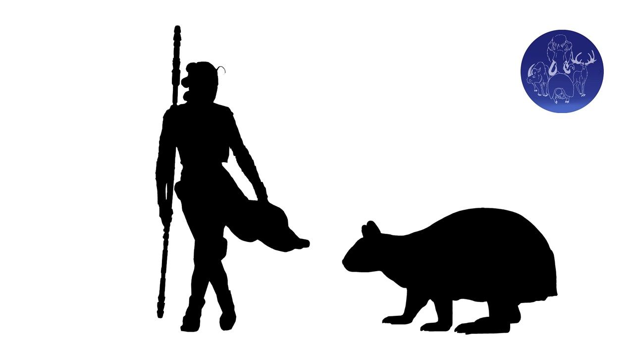 The Story of the King Rabbit | TwilightBeasts